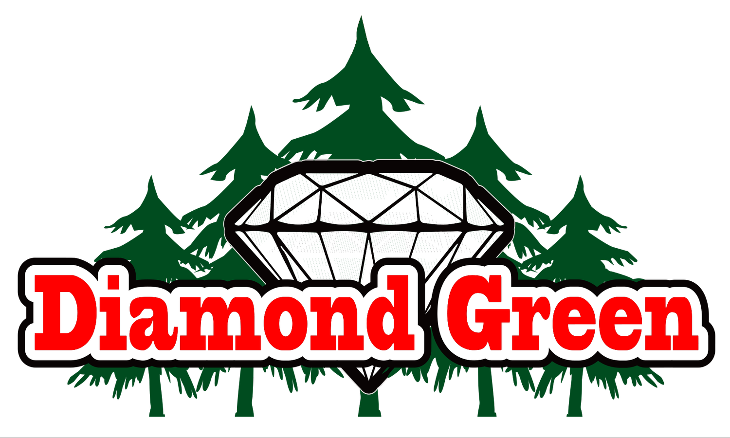 January Deals — Diamond Green Tacoma