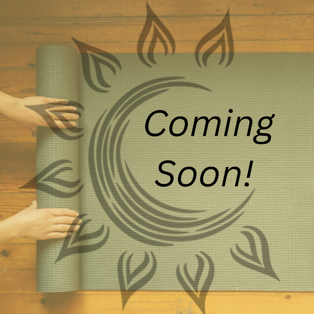 Events & Workshops — Sol to Soul Yoga