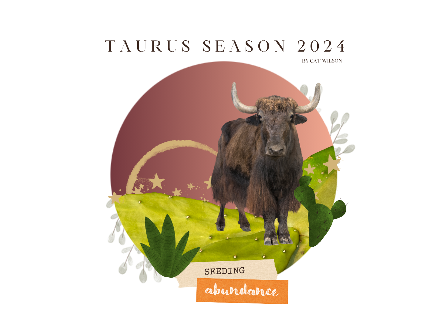 Welcome to Taurus Season — Soul Support