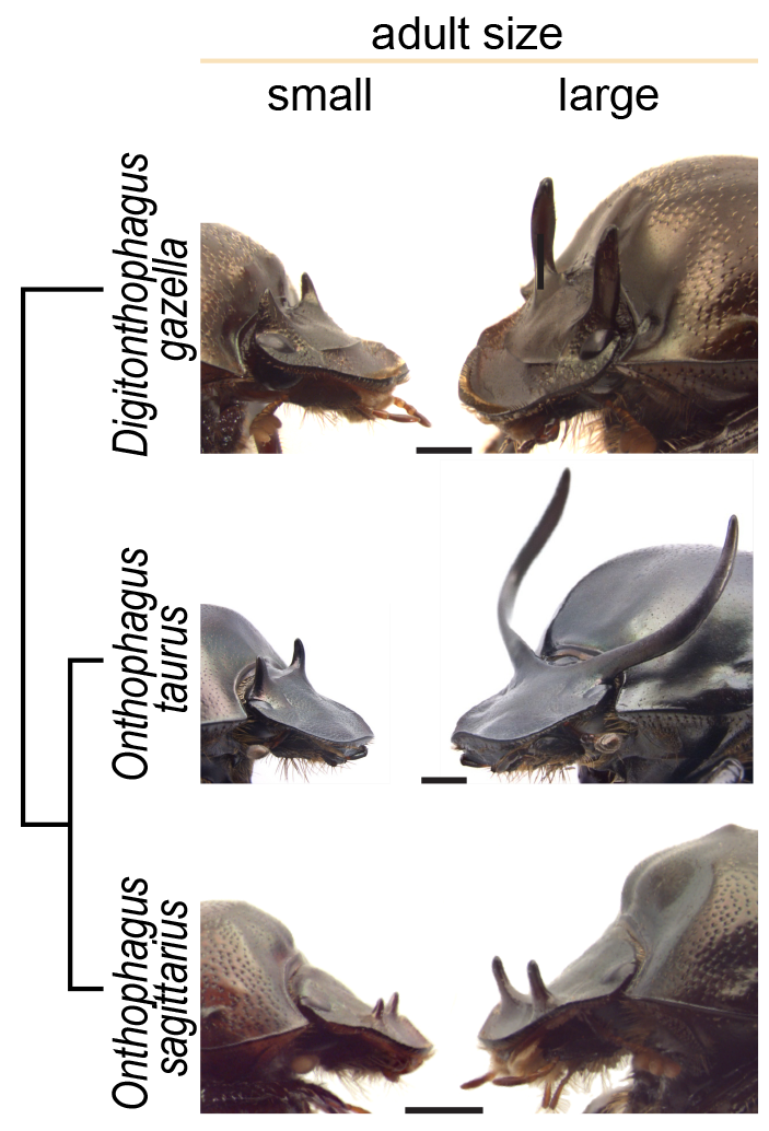 Research — Casasa Lab