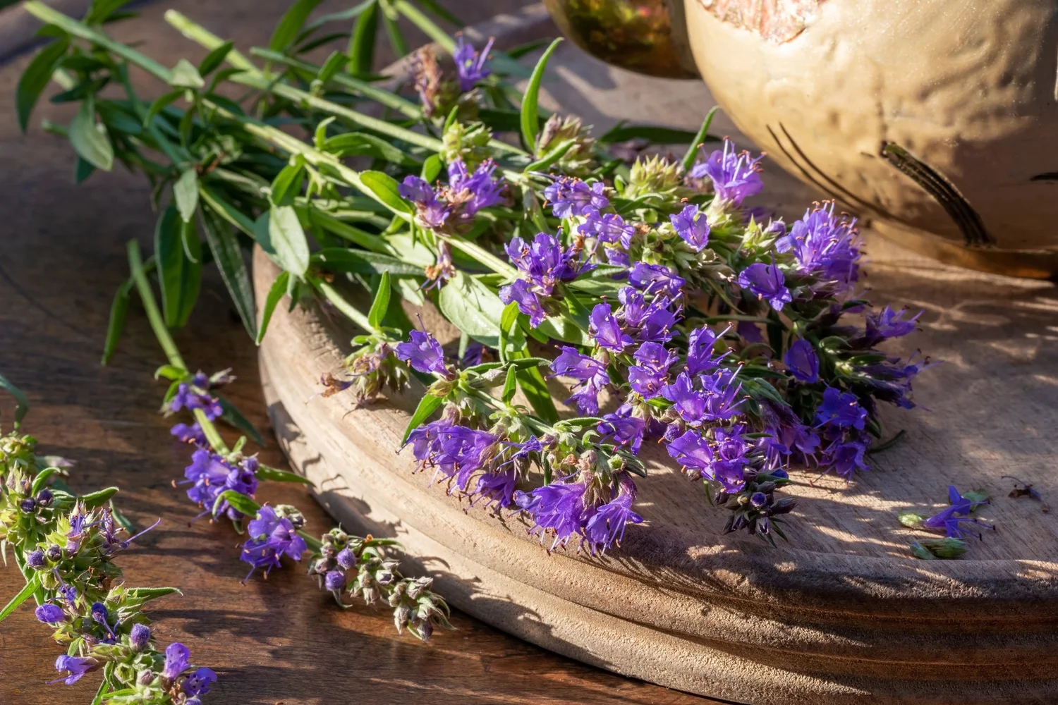 The Symbolic Meaning of Easter and Passover Flowers. — Travel & Culture ...