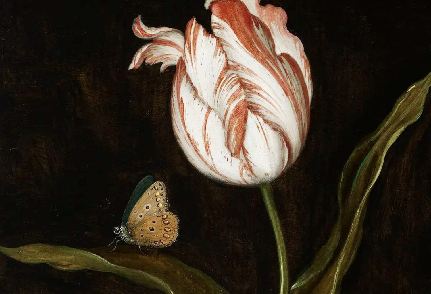 The Secret and Symbolic Life of Insects in 17th-Century Still Lifes ...