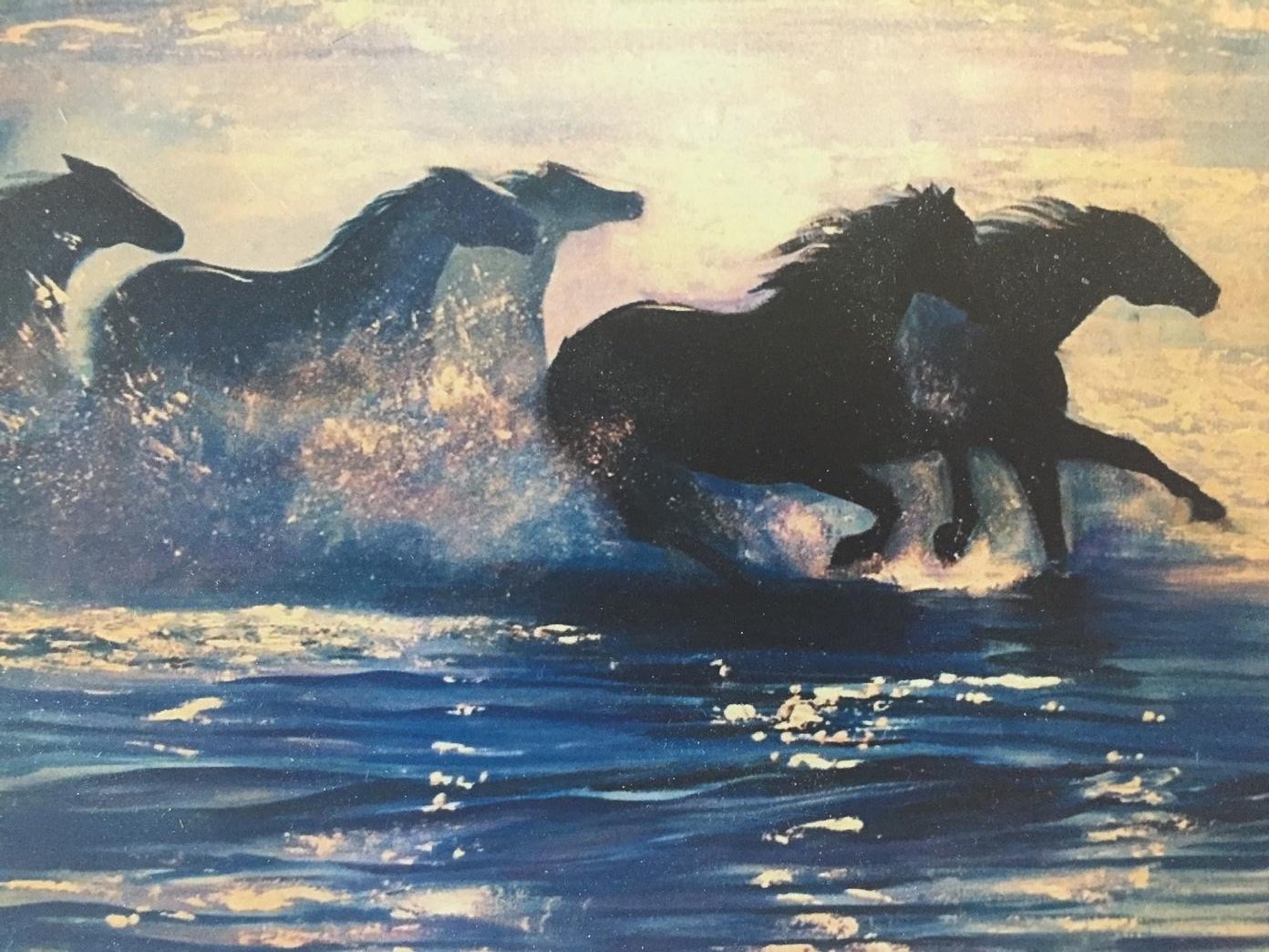 Molly Collins Artist — Molly's Art Gallery & Studio