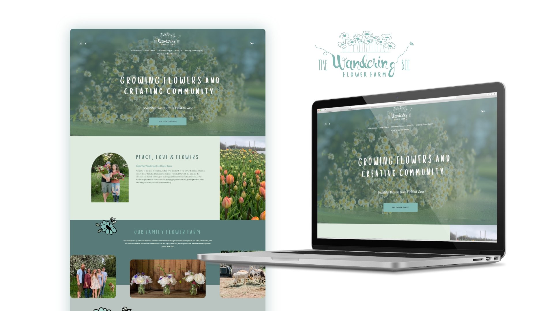 Web Design Expert for Small Business Ontario — TWA STUDIO