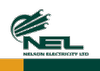 Nelson Electricity Limited