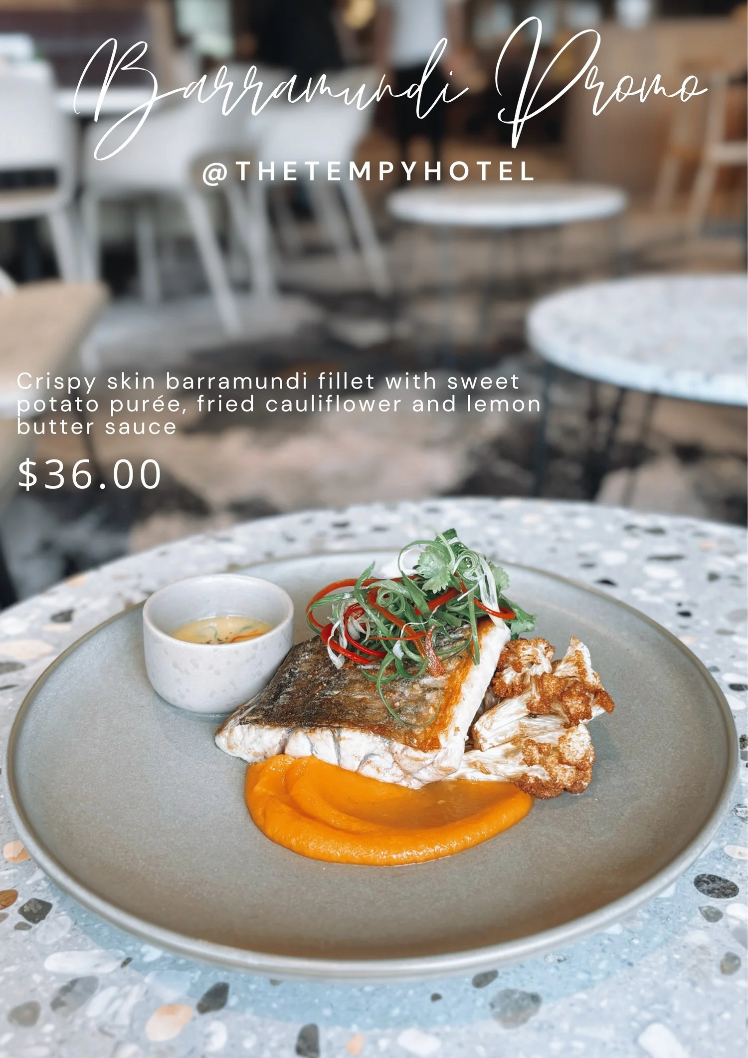 Promos — Tempy Hotel