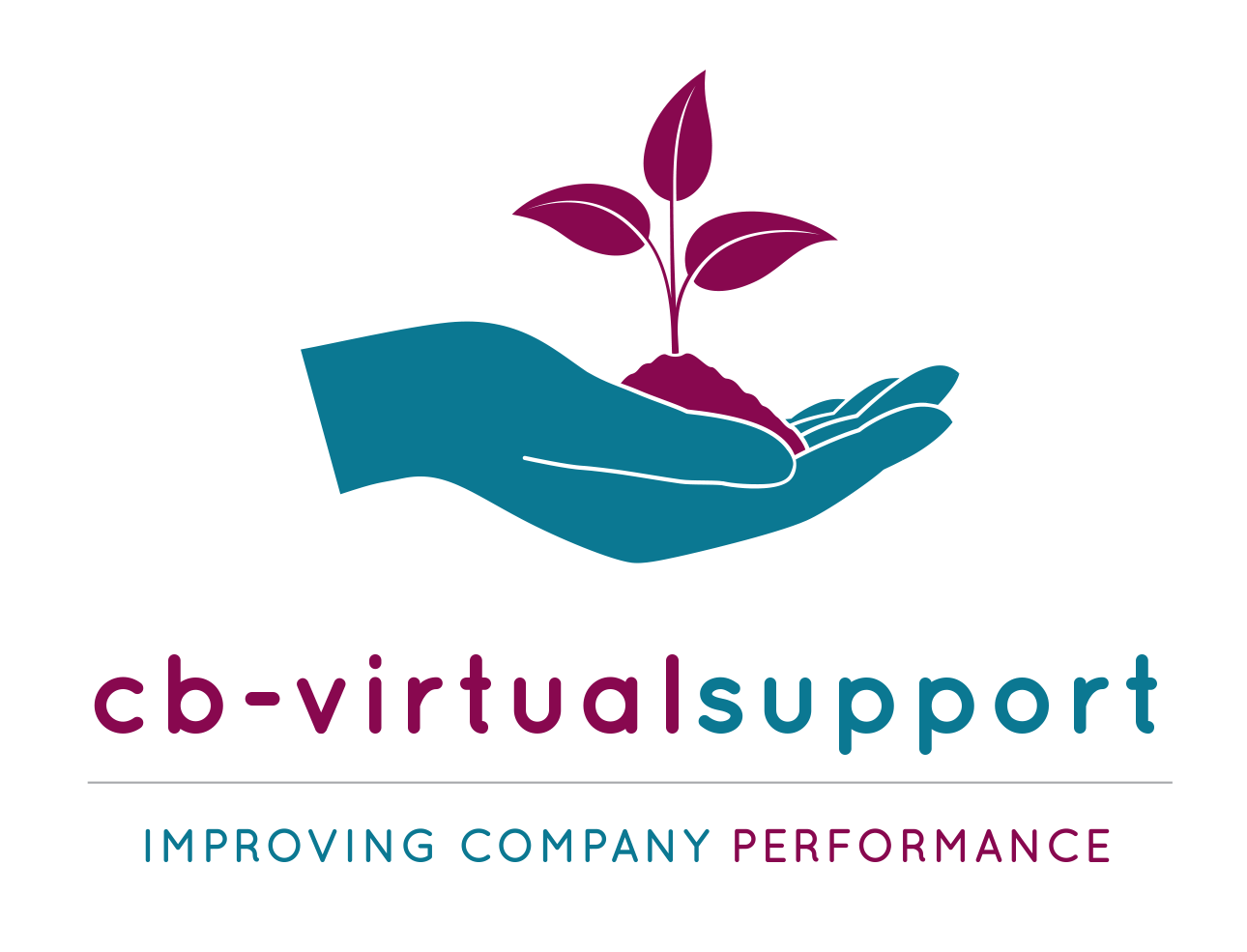 CB Virtual Solutions