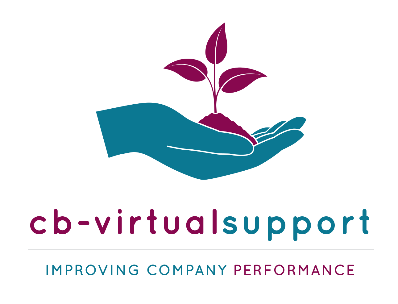 CB Virtual Solutions