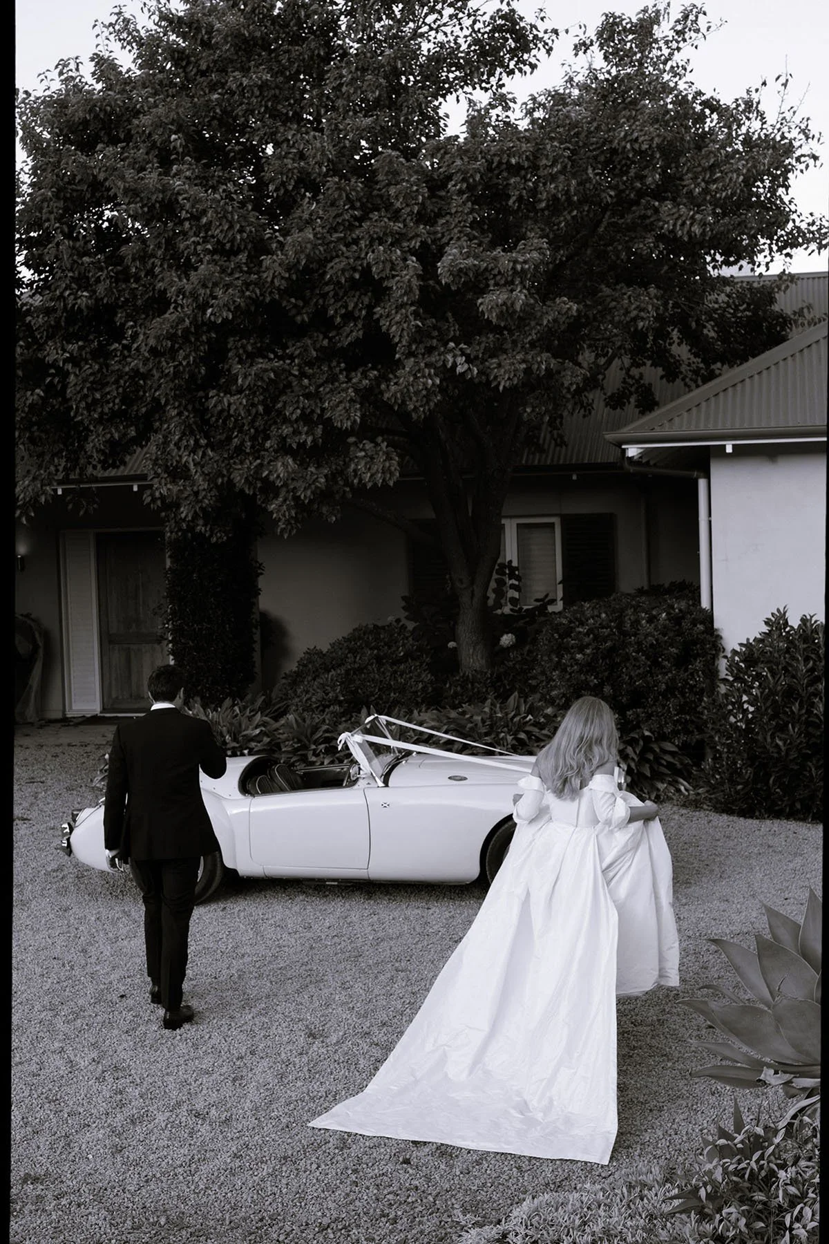 White Top - Premium Event Professionals