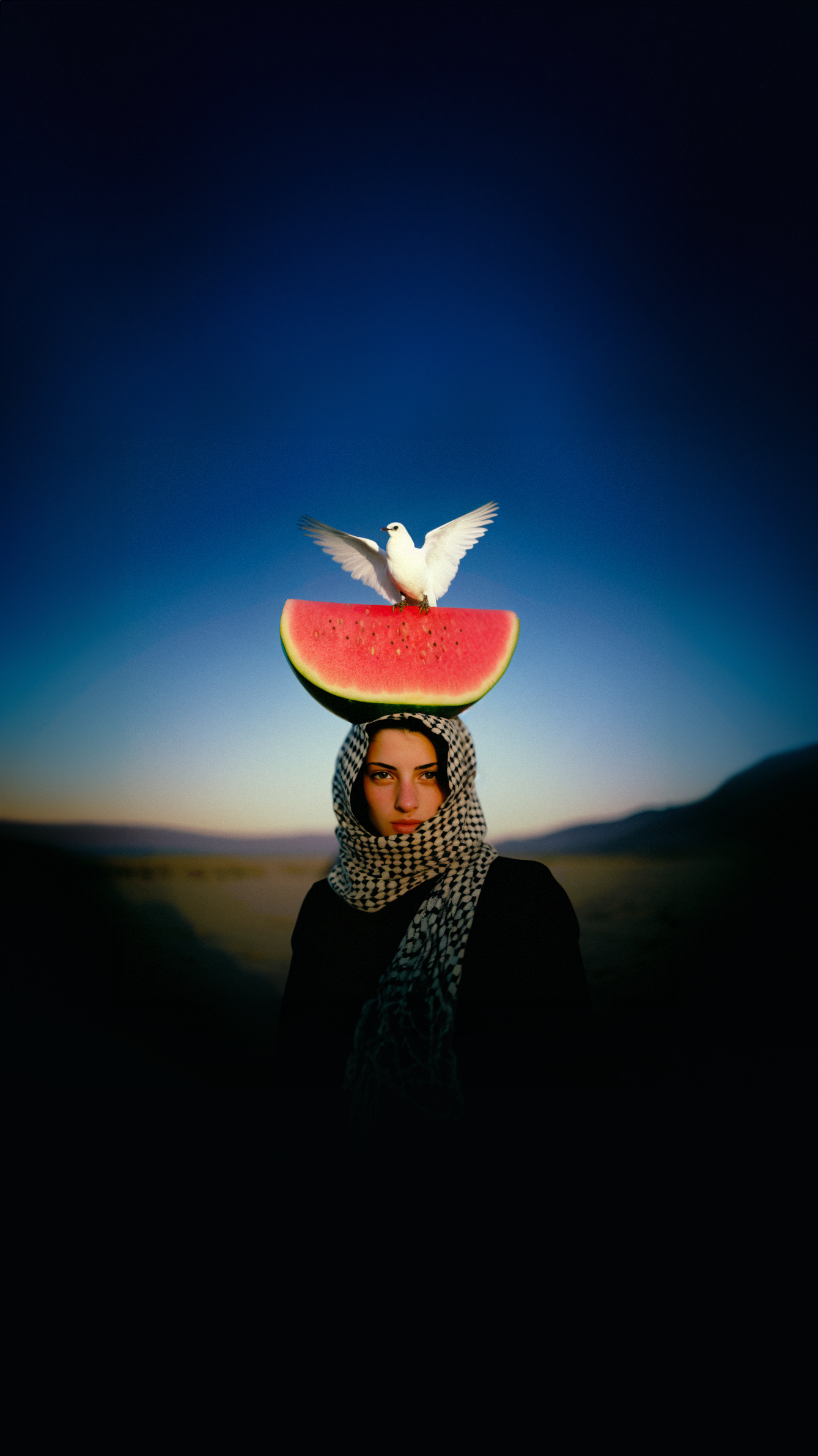 About | Discover Creative Arab Stories — SARD