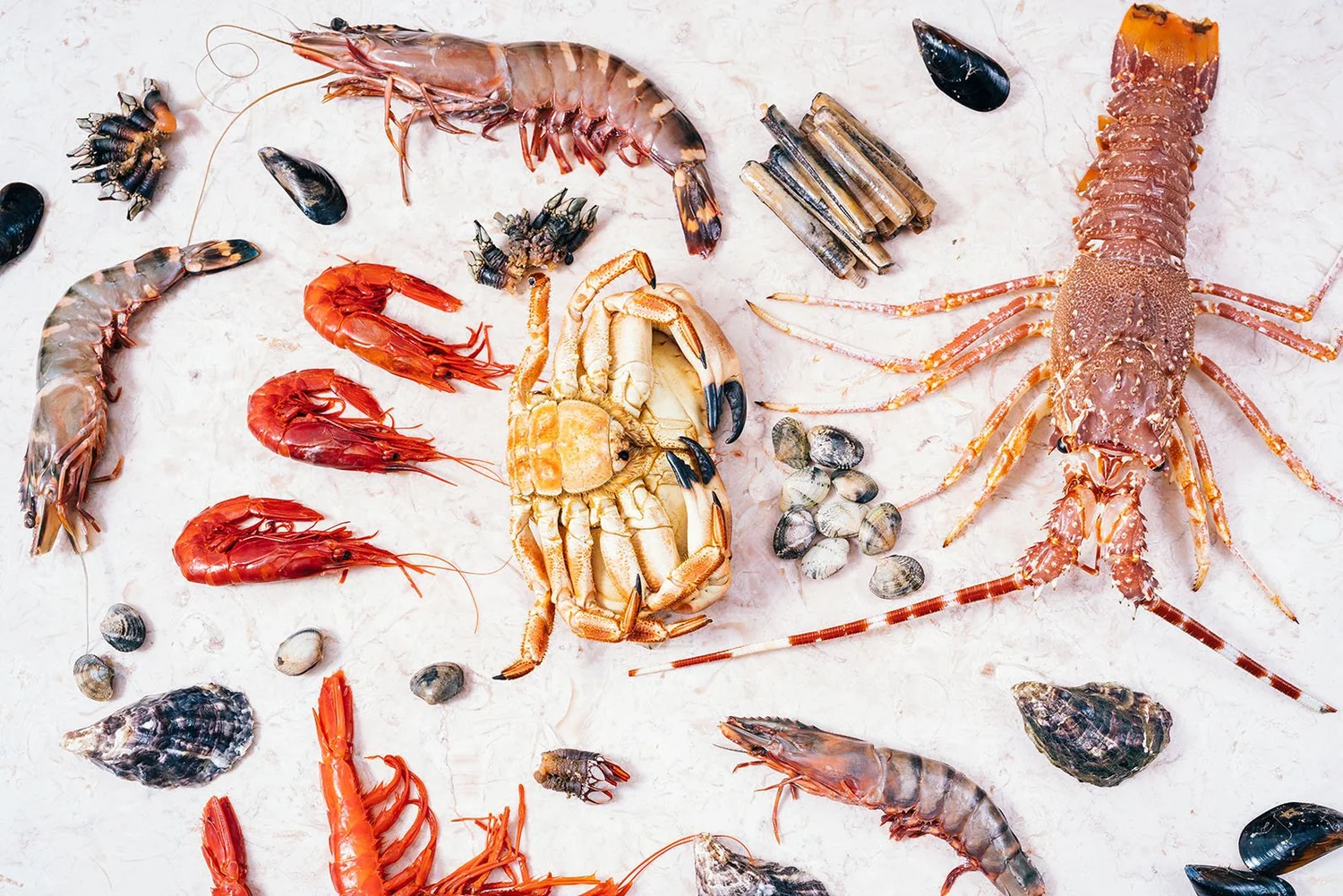 Menu — Marisqueira Azul