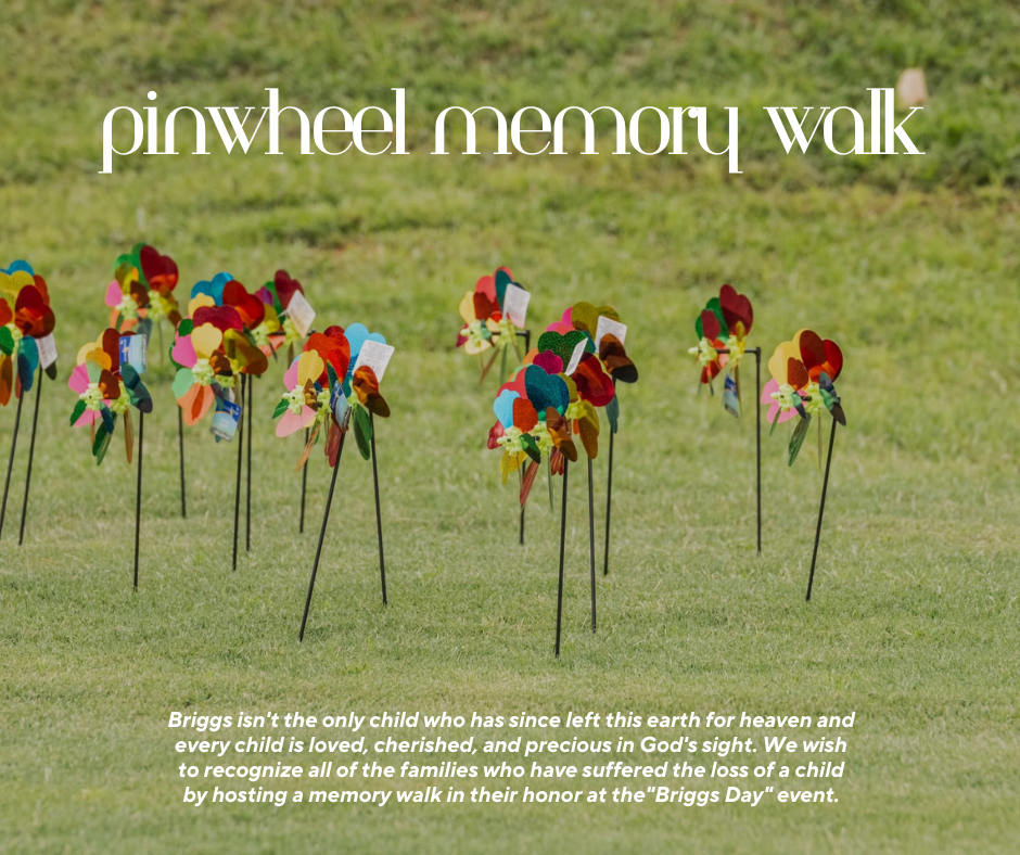 Apply for Memory Walk — Love Can Build a Briggs