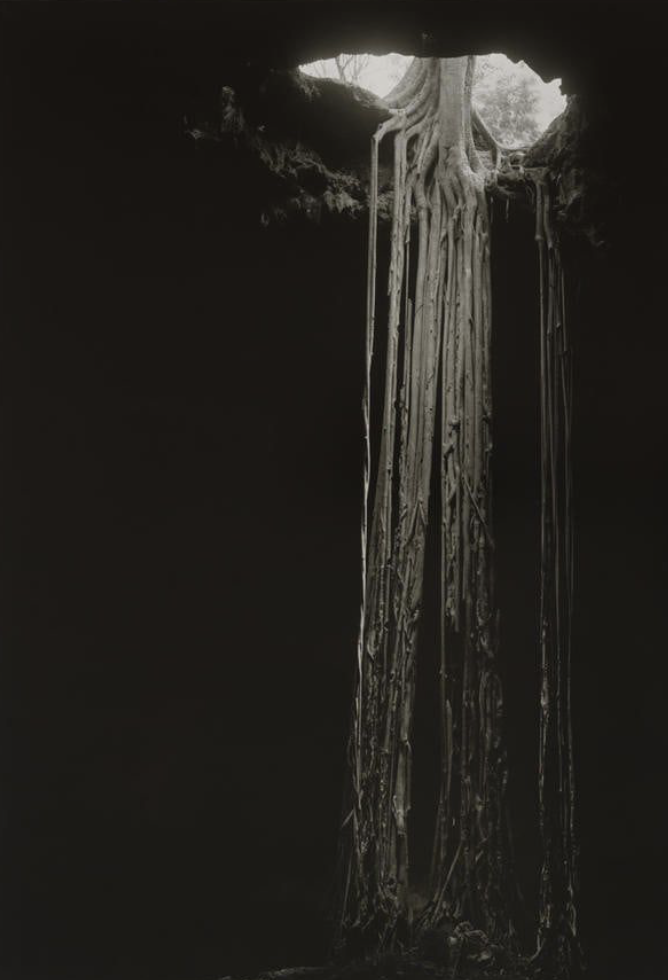 Winter 2 2026 SALES — Martha McAlpine