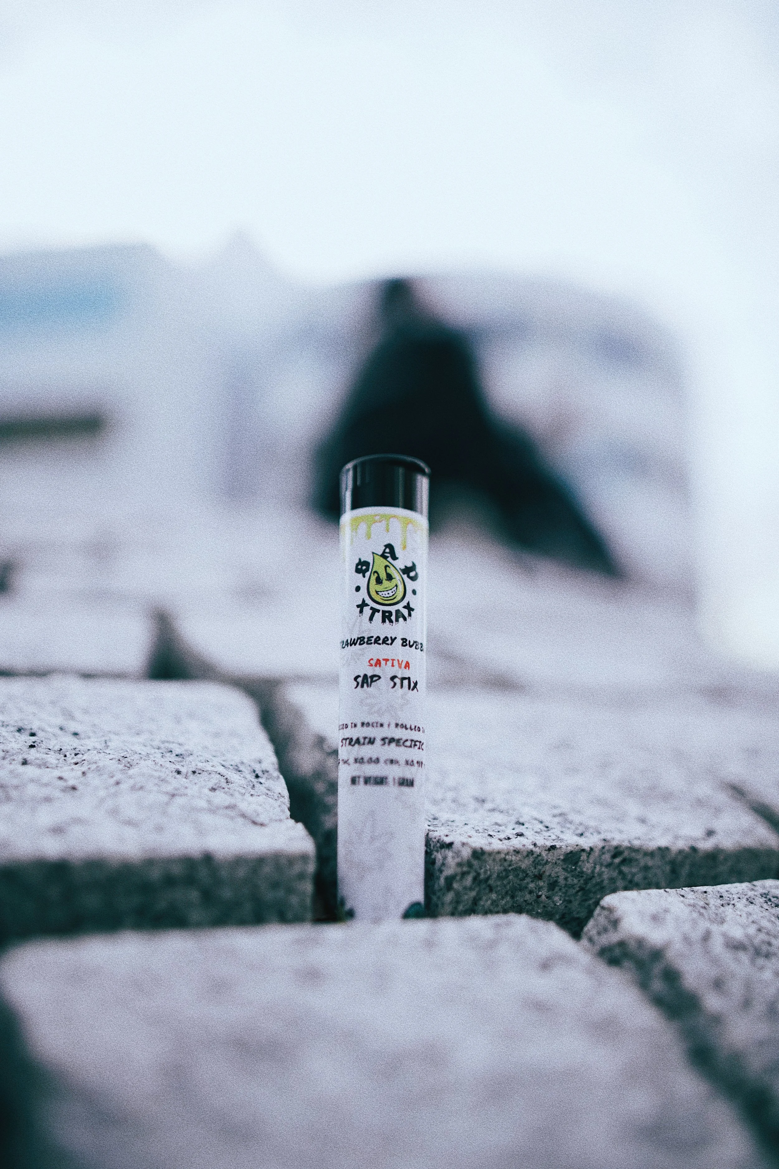 sap xtrax update 07/31/23 (Copy)