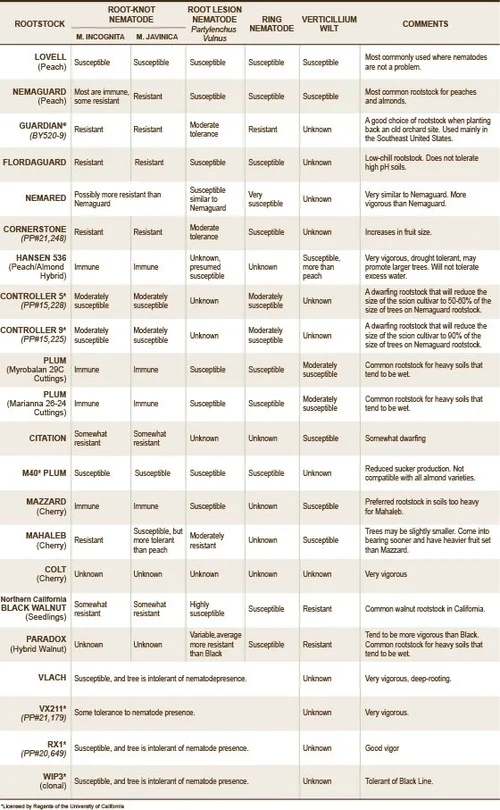 Rootstocks — Burchell Nursery