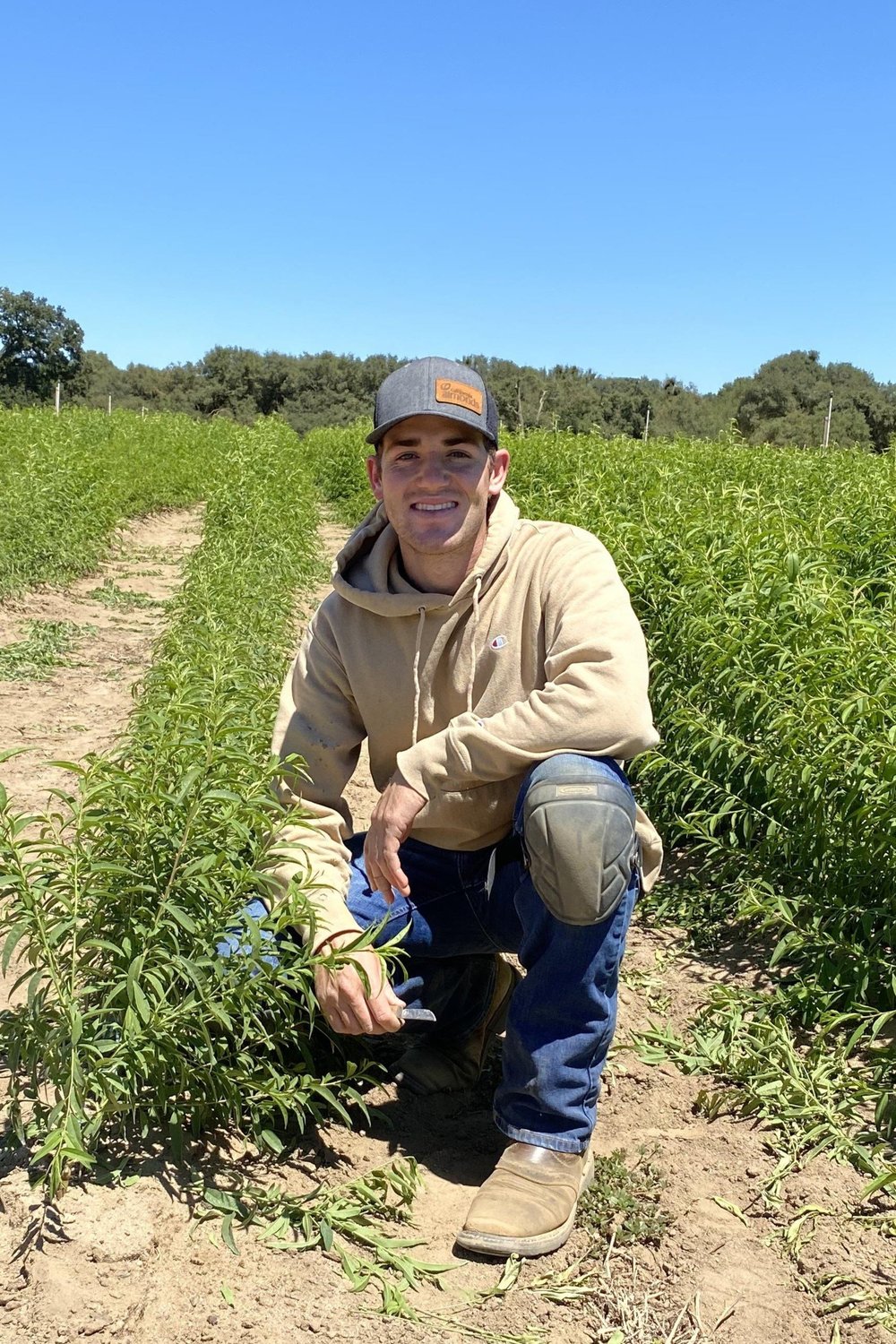 About Us — Burchell Nursery