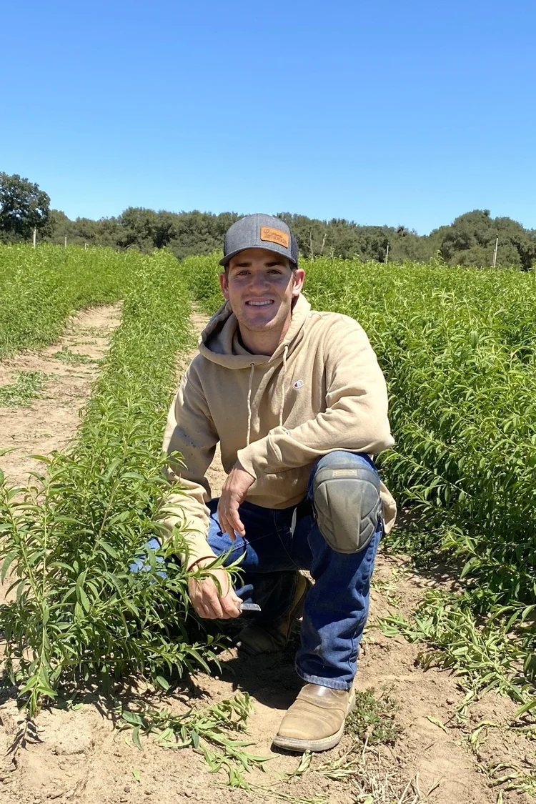 About Us — Burchell Nursery