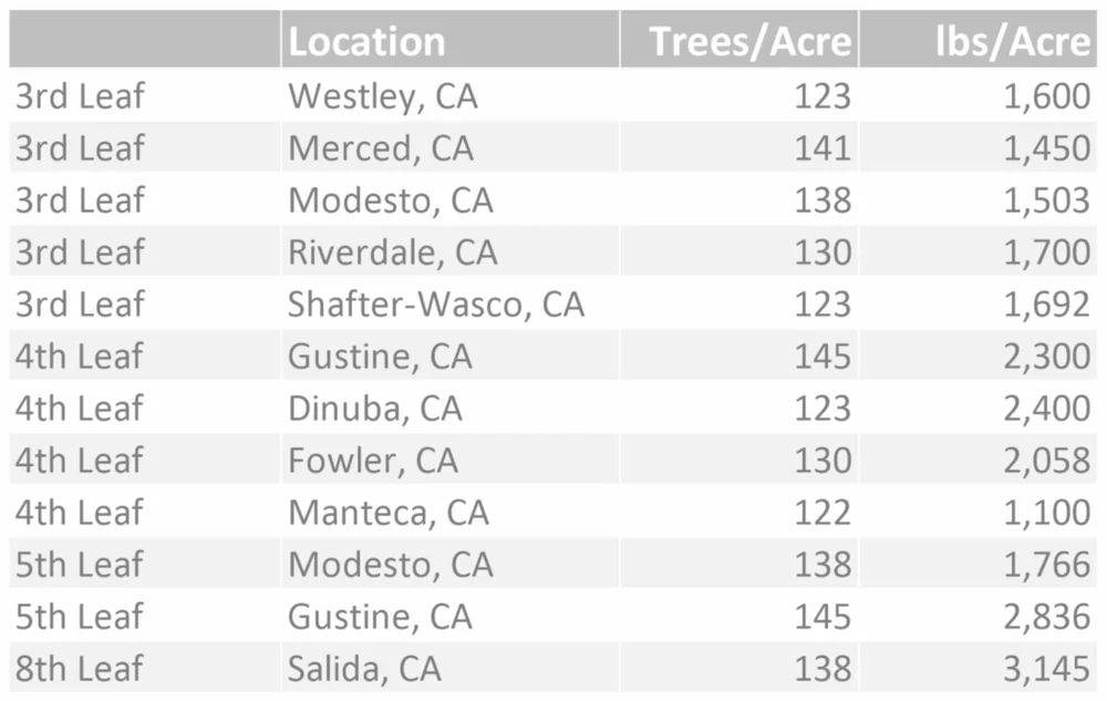 Shasta Almond Variety, Self Fertile Almond — Burchell Nursery
