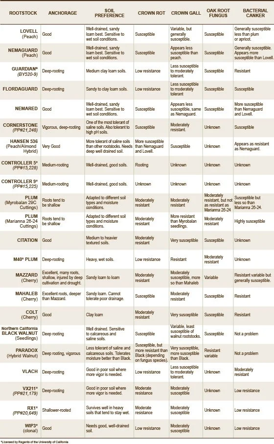 Tree Rootstocks for sale — Burchell Nursery