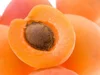 Apricot Tree, Apricot Varieties — Burchell Nursery