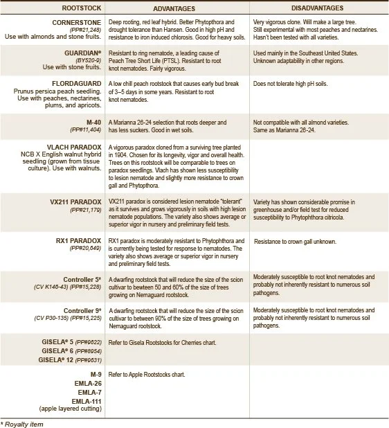 Tree Rootstocks for sale — Burchell Nursery
