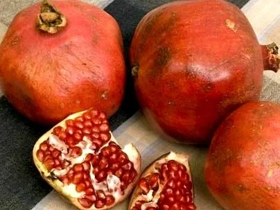 Pomegranate Varieties, Pomegranate Tree, — Burchell Nursery