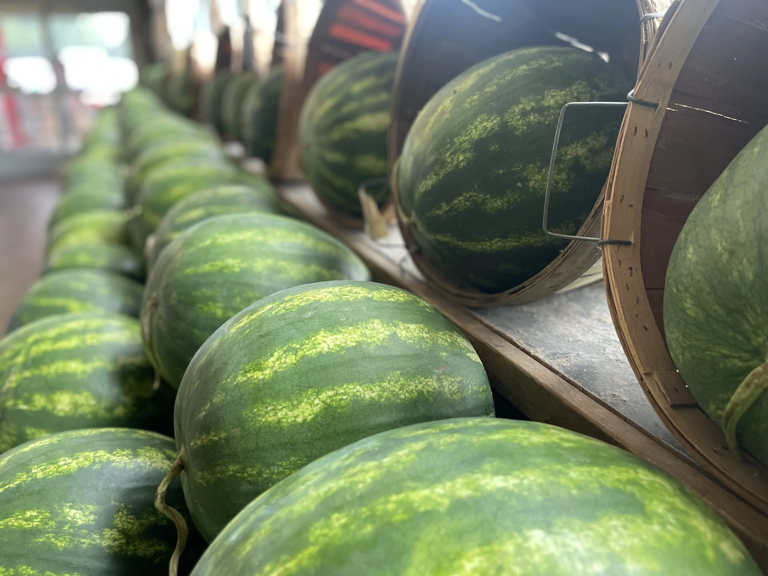 About — Ciolino Fruit & Vegetable Market