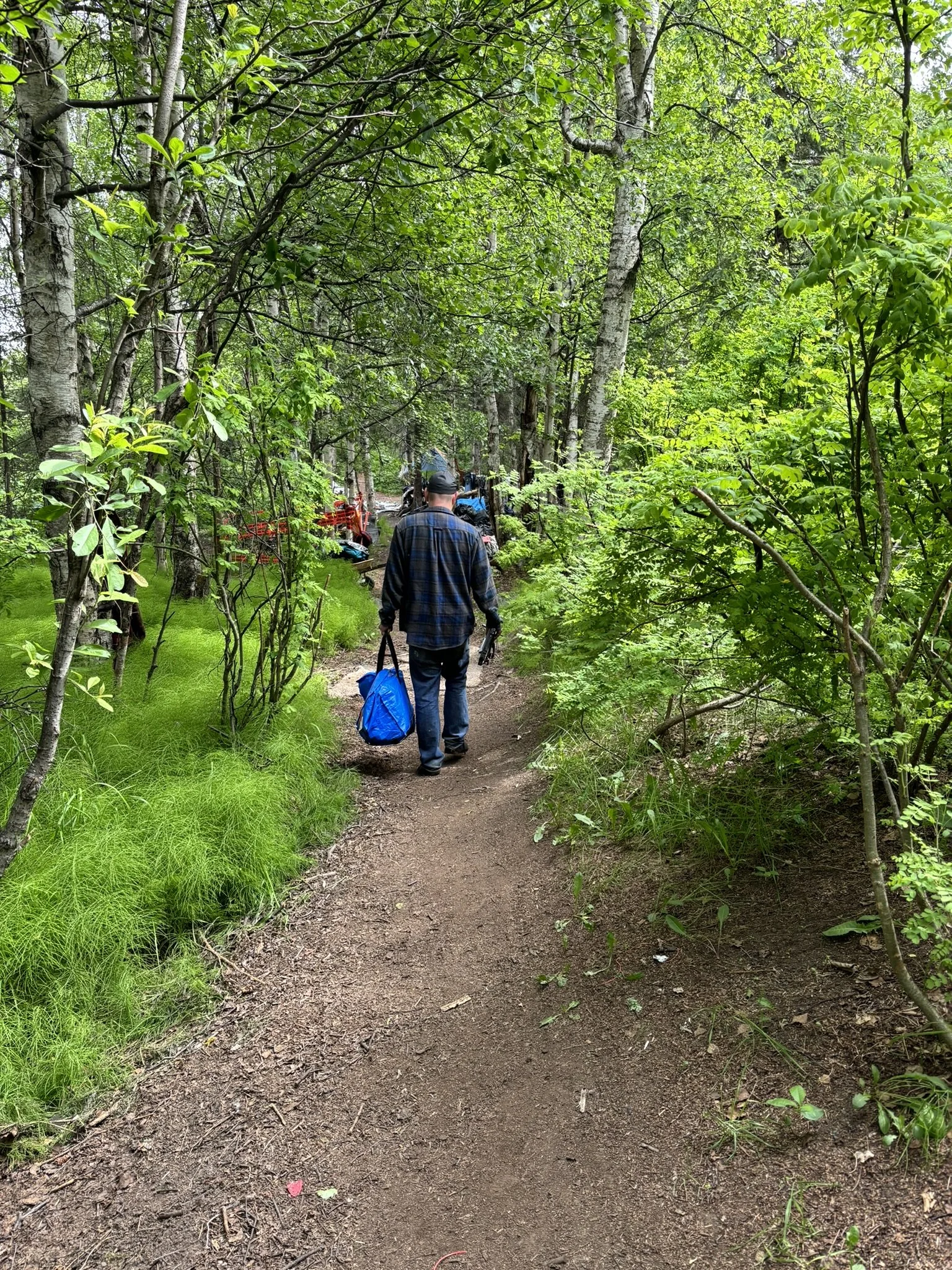 Next Step is a collaborative program in homelessness response aligned ...