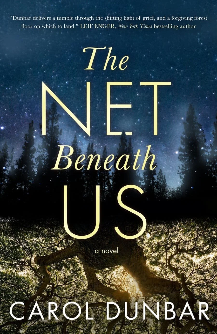 The Net Beneath Us by Carol Dunbar: Example of a Successful Adult ...