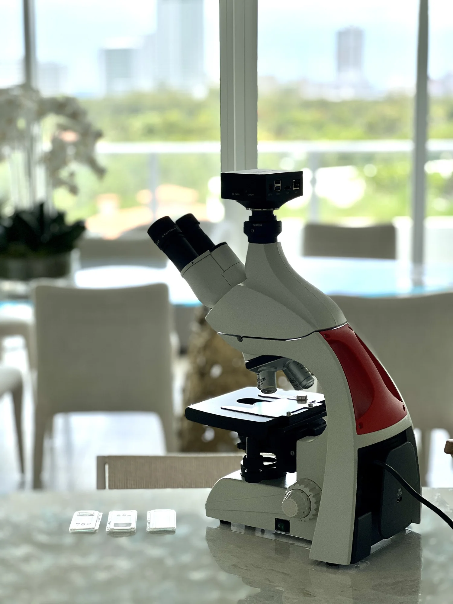 EnviroHealth - Indoor Air Quality Experts