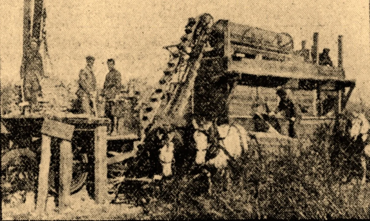 Heidi For Homer - Saving Mitigating Environmental Impact — Preserving ...