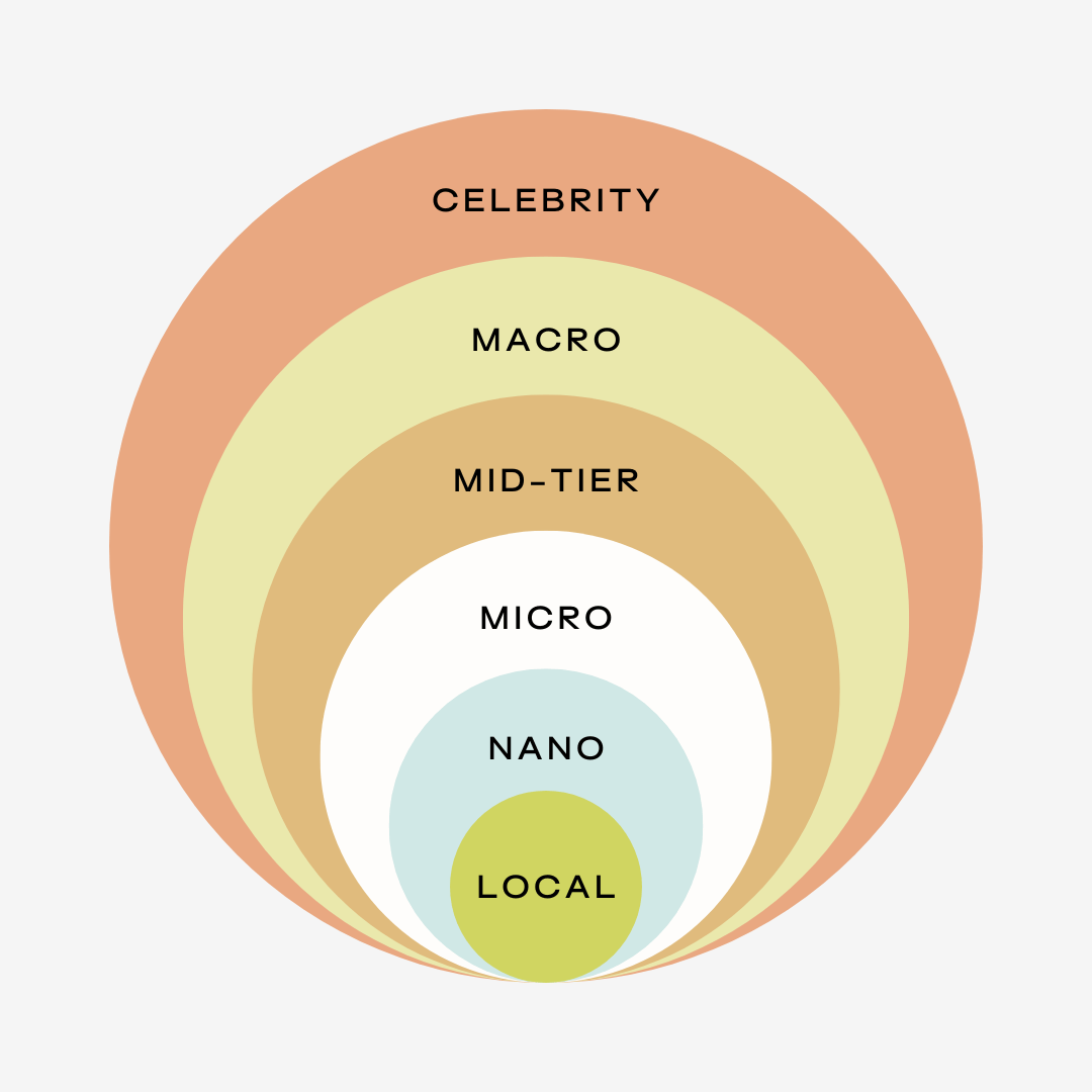 What are the different types of influencers? | Hummingbirds