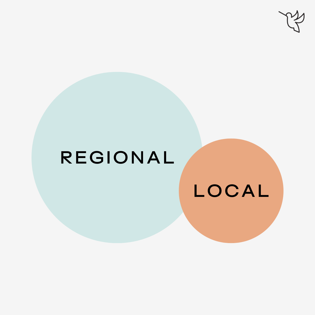 Local versus regional influencer marketing | Hummingbirds