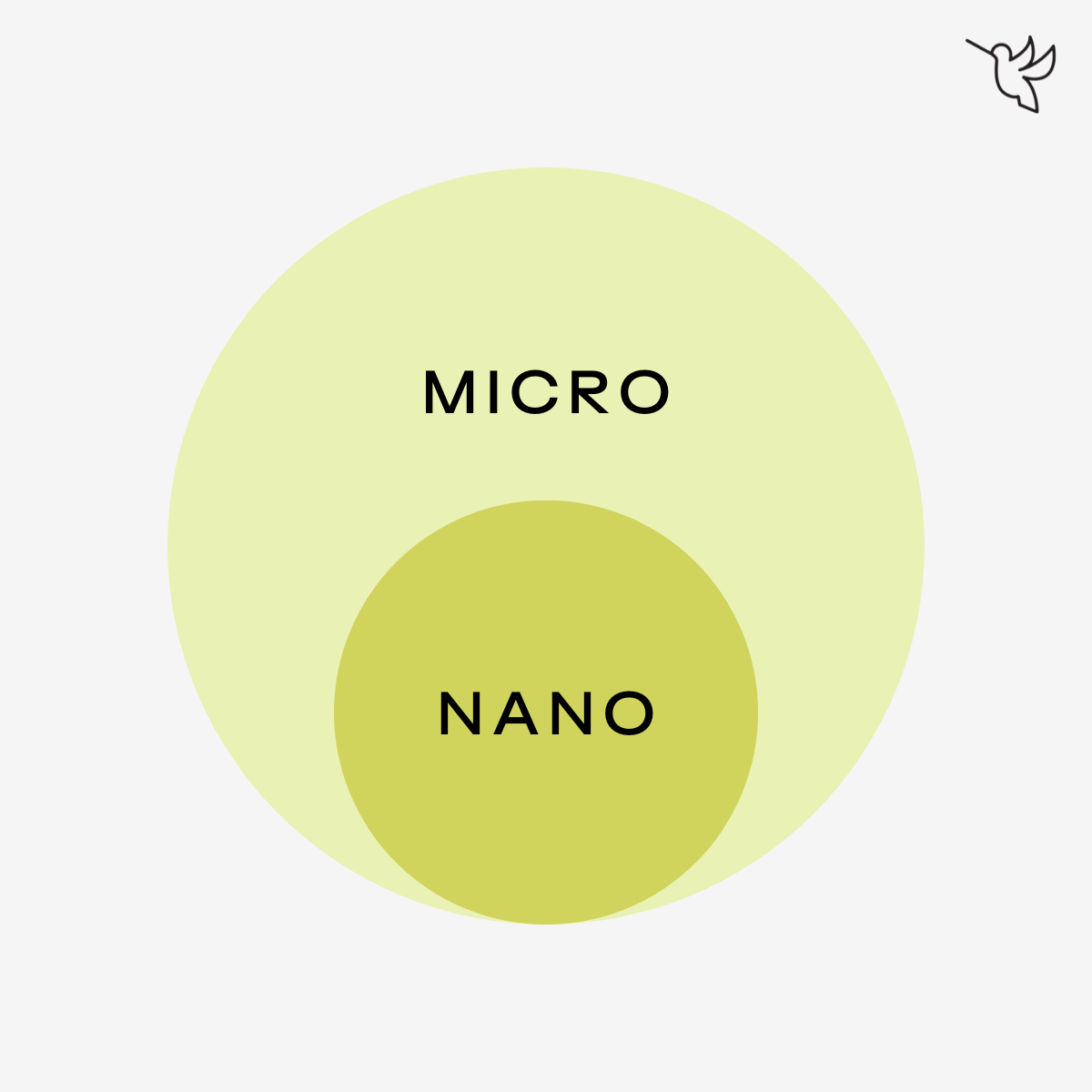 Nano versus micro influencers comparison | Hummingbirds
