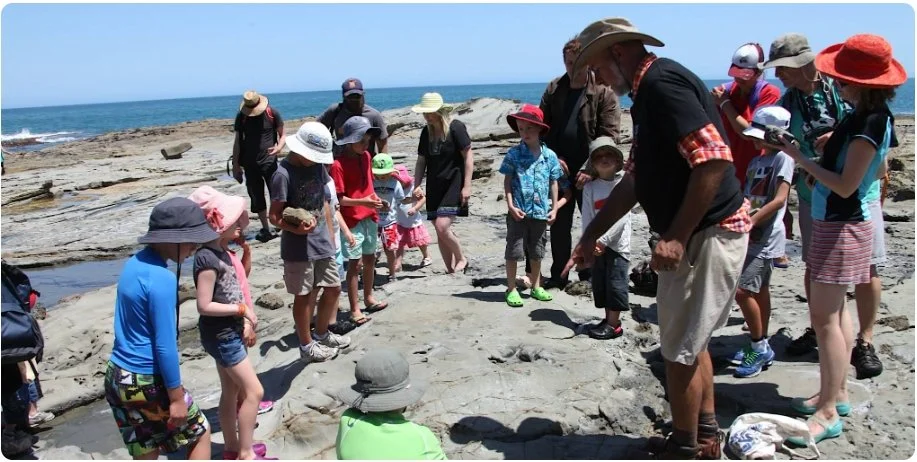 Dinosaur Discovery Flat Rocks — Visit Inverloch