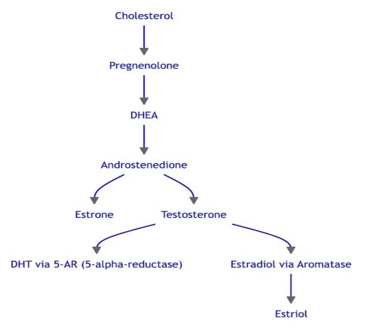 Benefits of HCG while on Testosterone (TRT) | Lucidity Men's Clinic