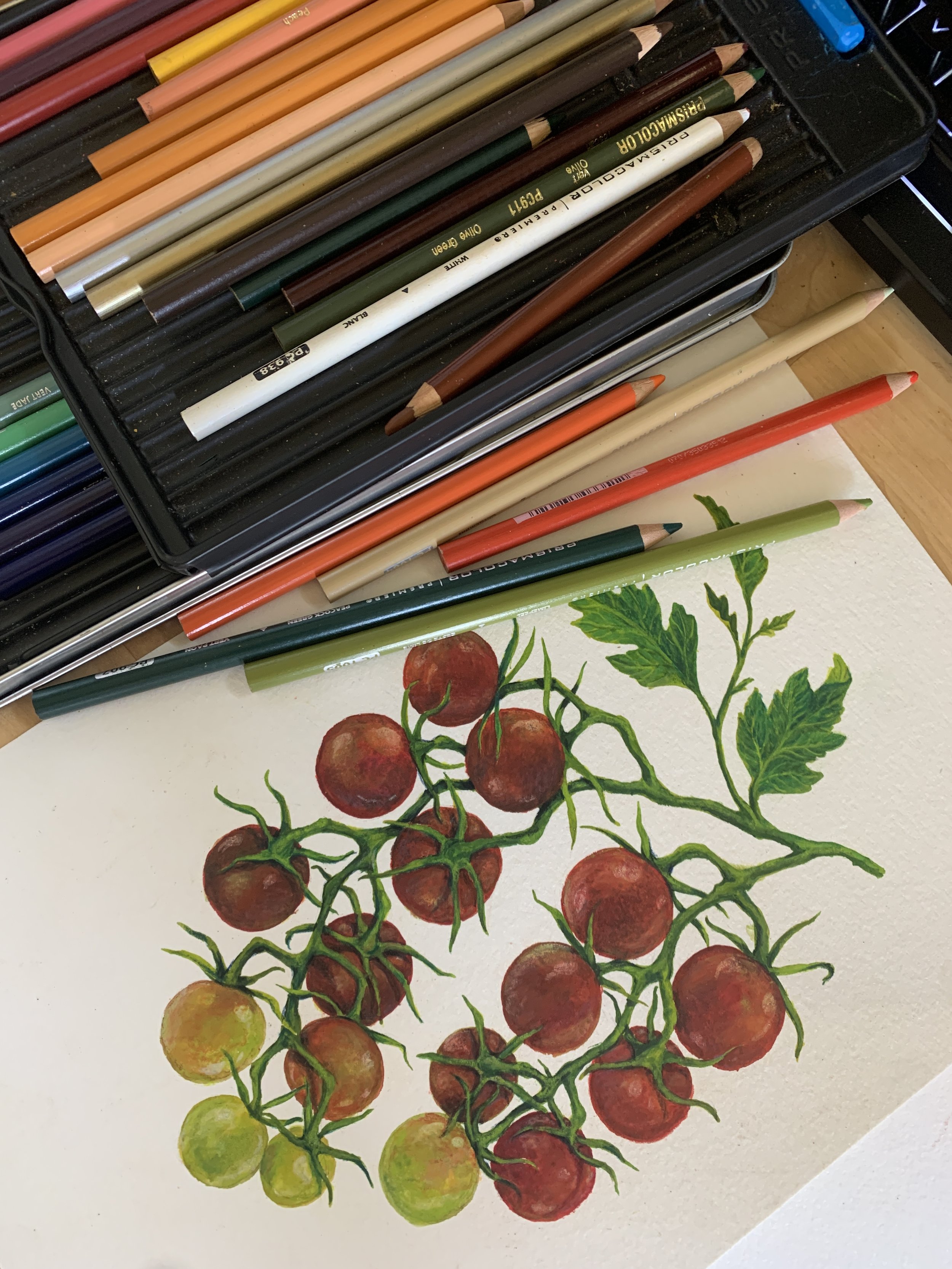 Stevie Dutson Art & Design