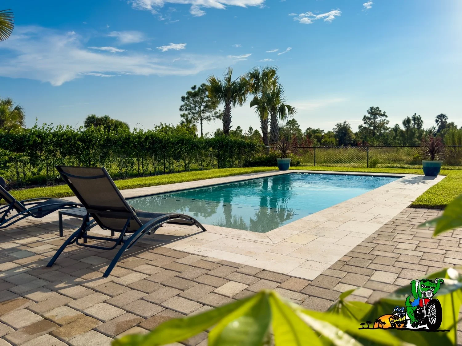 Image Gallery - See the Quality Pool Work — Naples Florida Pool Service ...