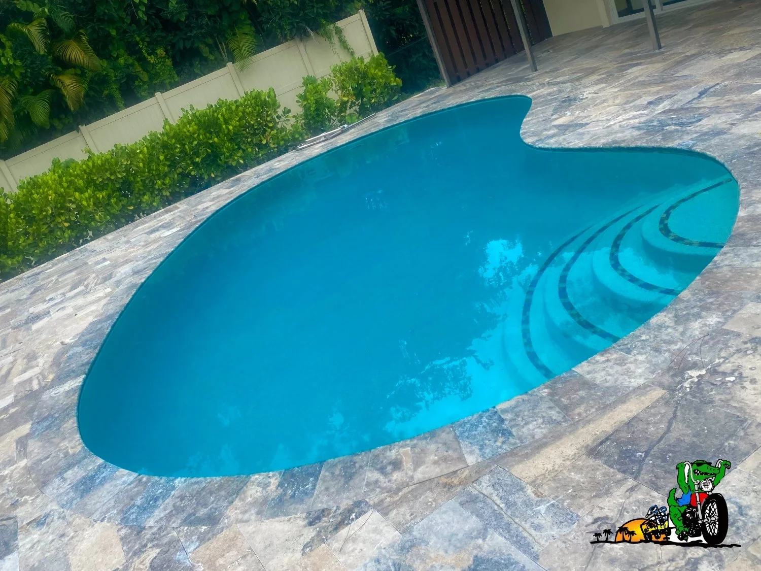Image Gallery - See the Quality Pool Work — Naples Florida Pool Service ...