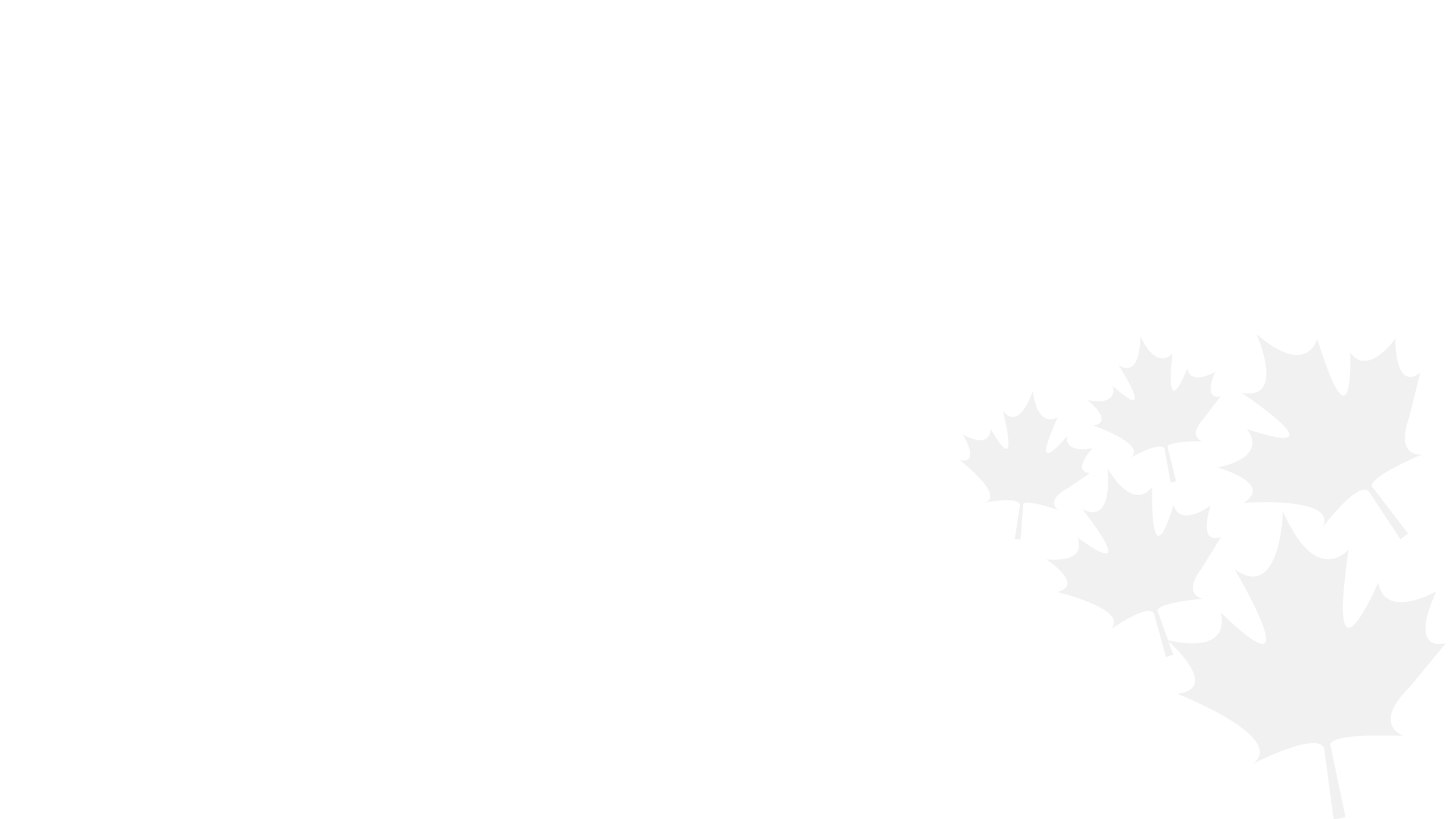 Bonti Immigration Services