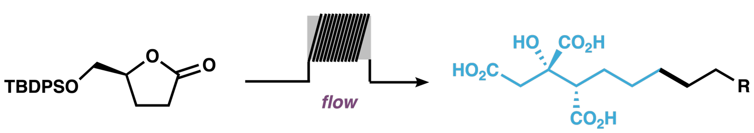 Publications — The Polyzos Lab