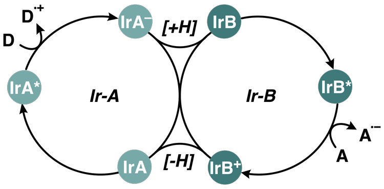 Publications — The Polyzos Lab