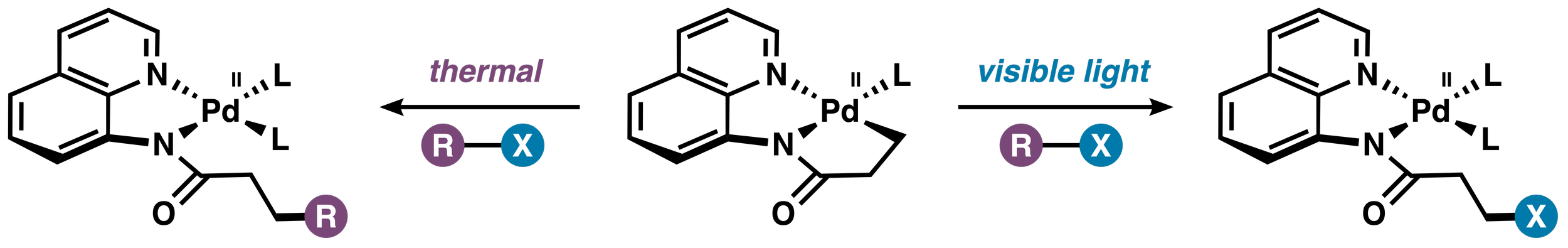 Research — The Polyzos Lab