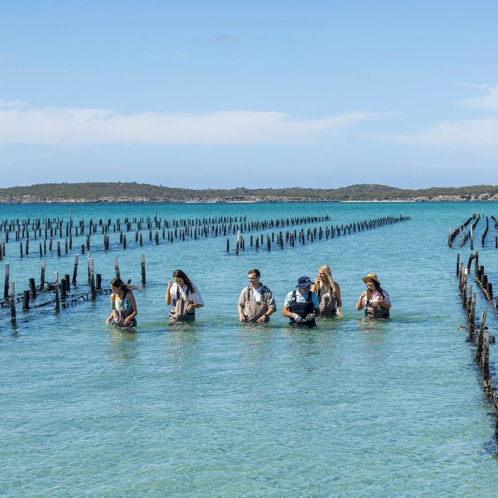 Experiences — Visit Coffin Bay