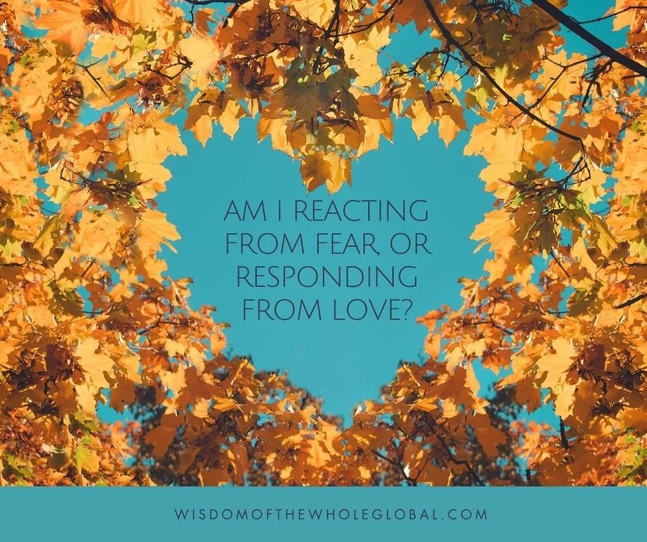 Choosing Love Over Fear: A Path to Transformational Coaching — Wisdom ...