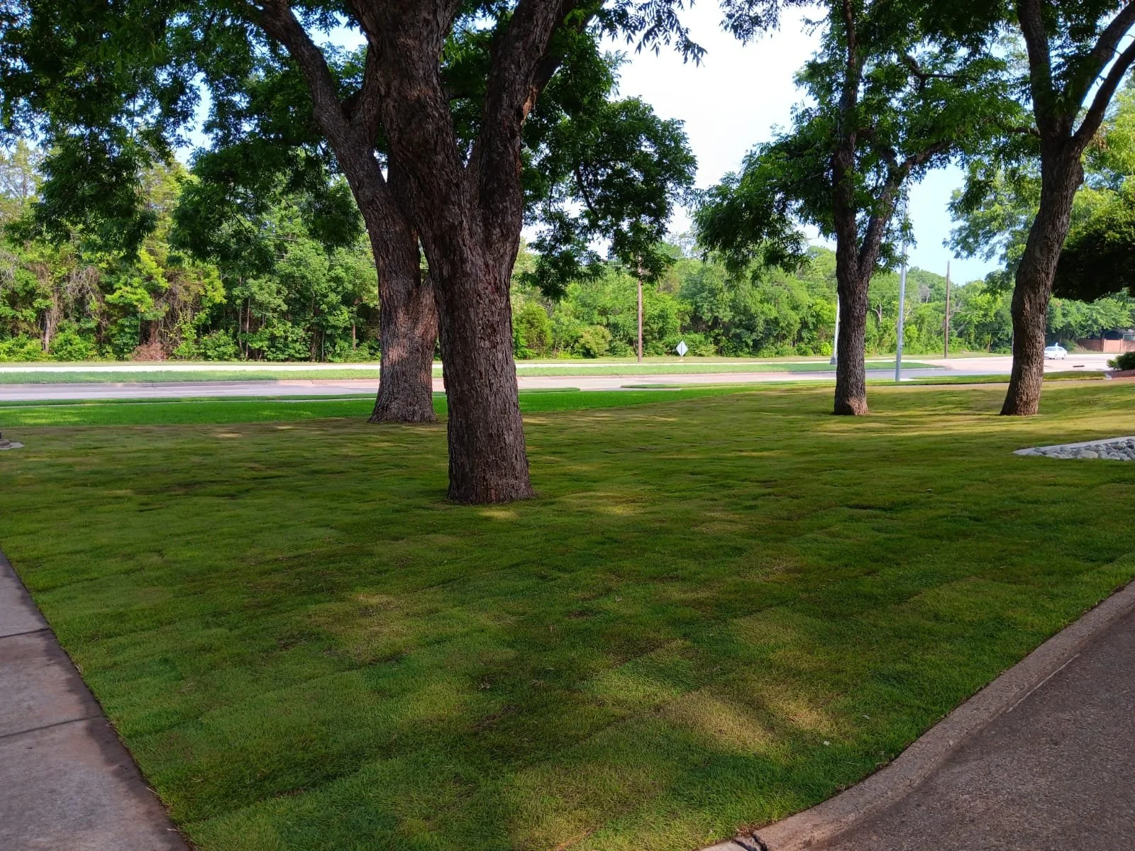 Dyna-Mist | Commercial Landscape Maintenance, Enhancement, Installation ...