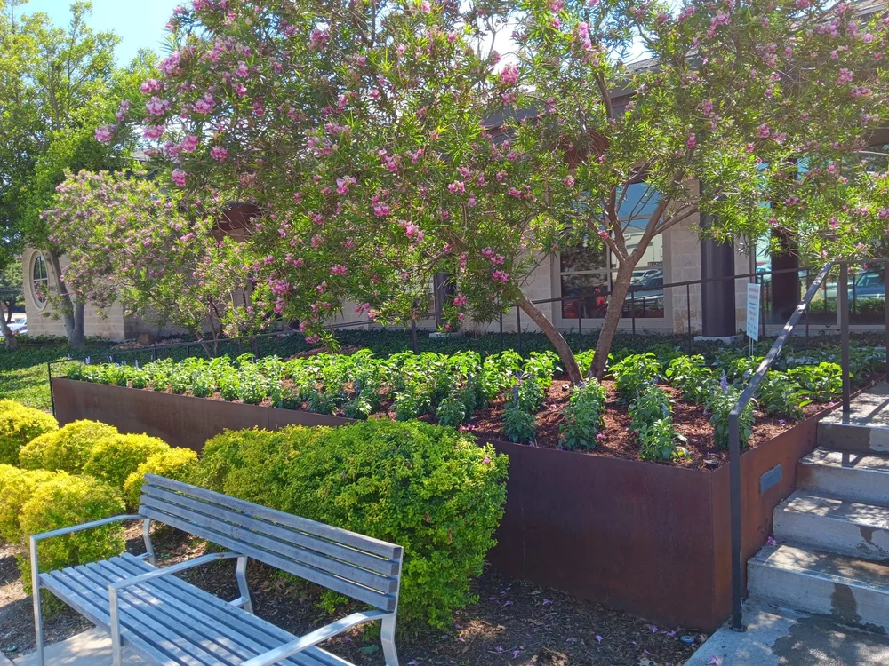 Contact Commercial Landscaping Company in North Texas | Dyna-Mist