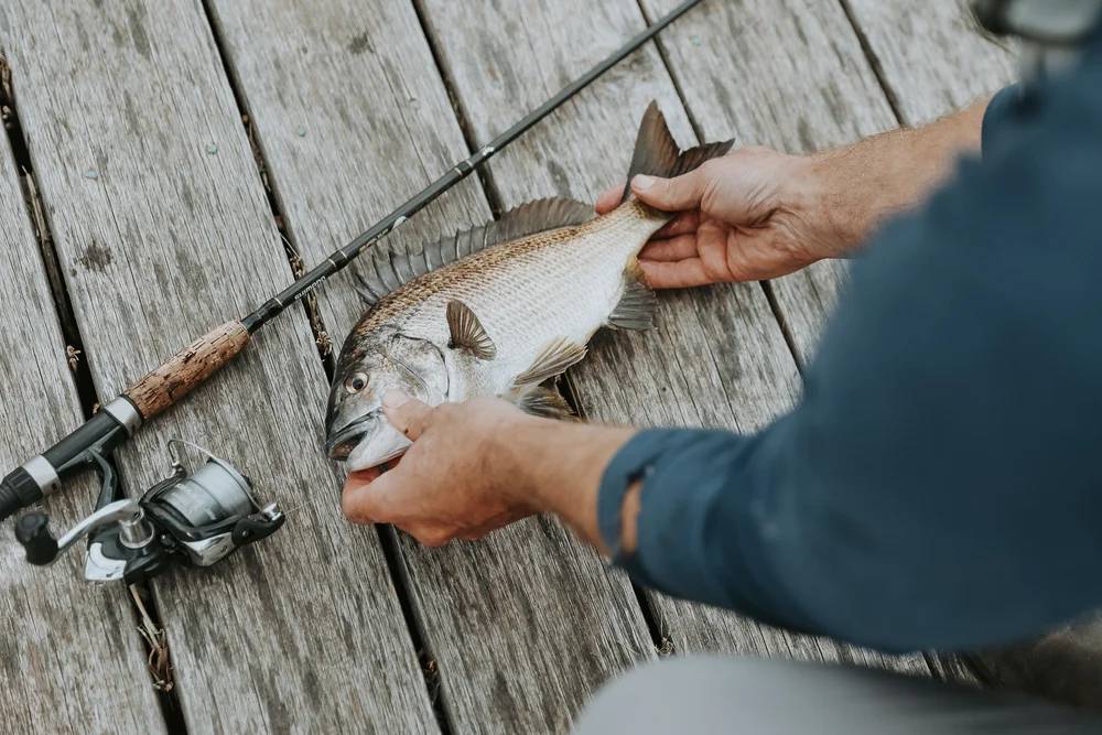 Swan River Sanctuary