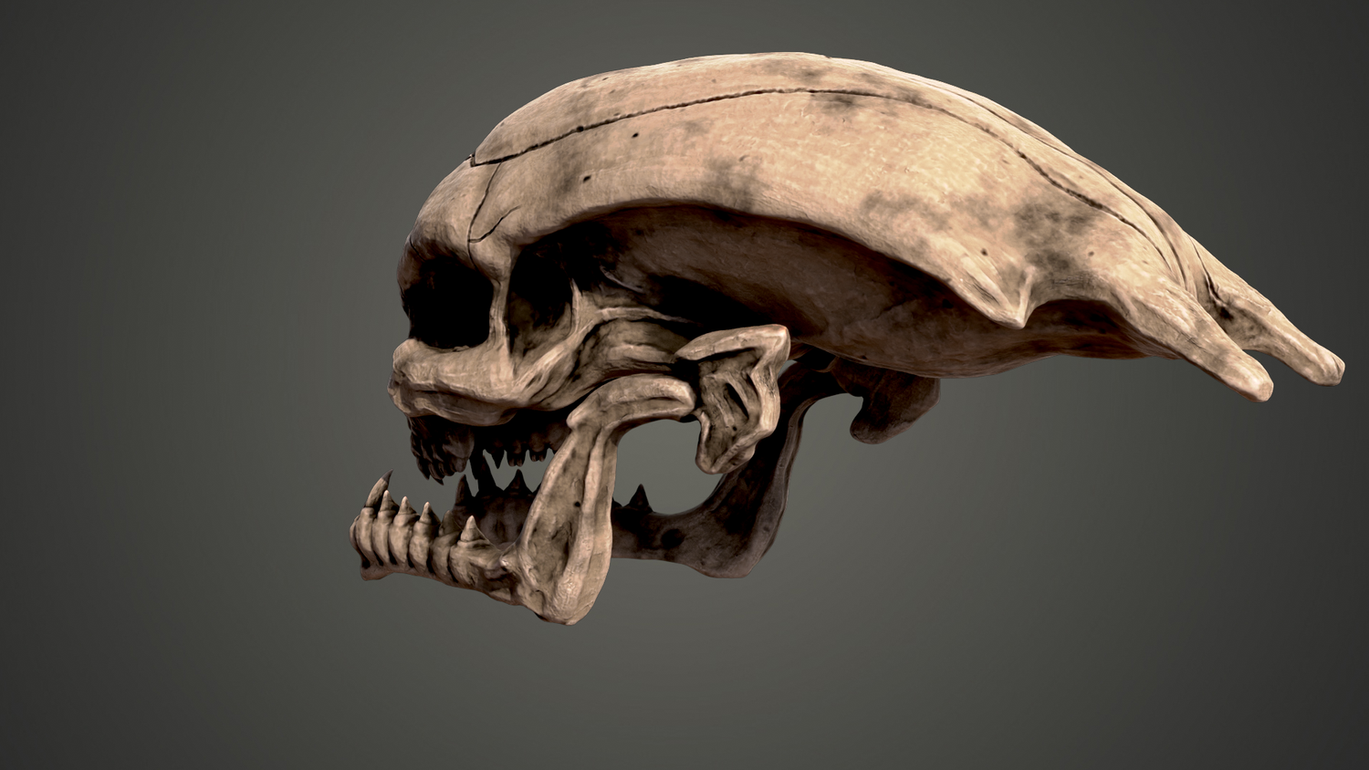 Free Blender Free Procedural Bone Texture