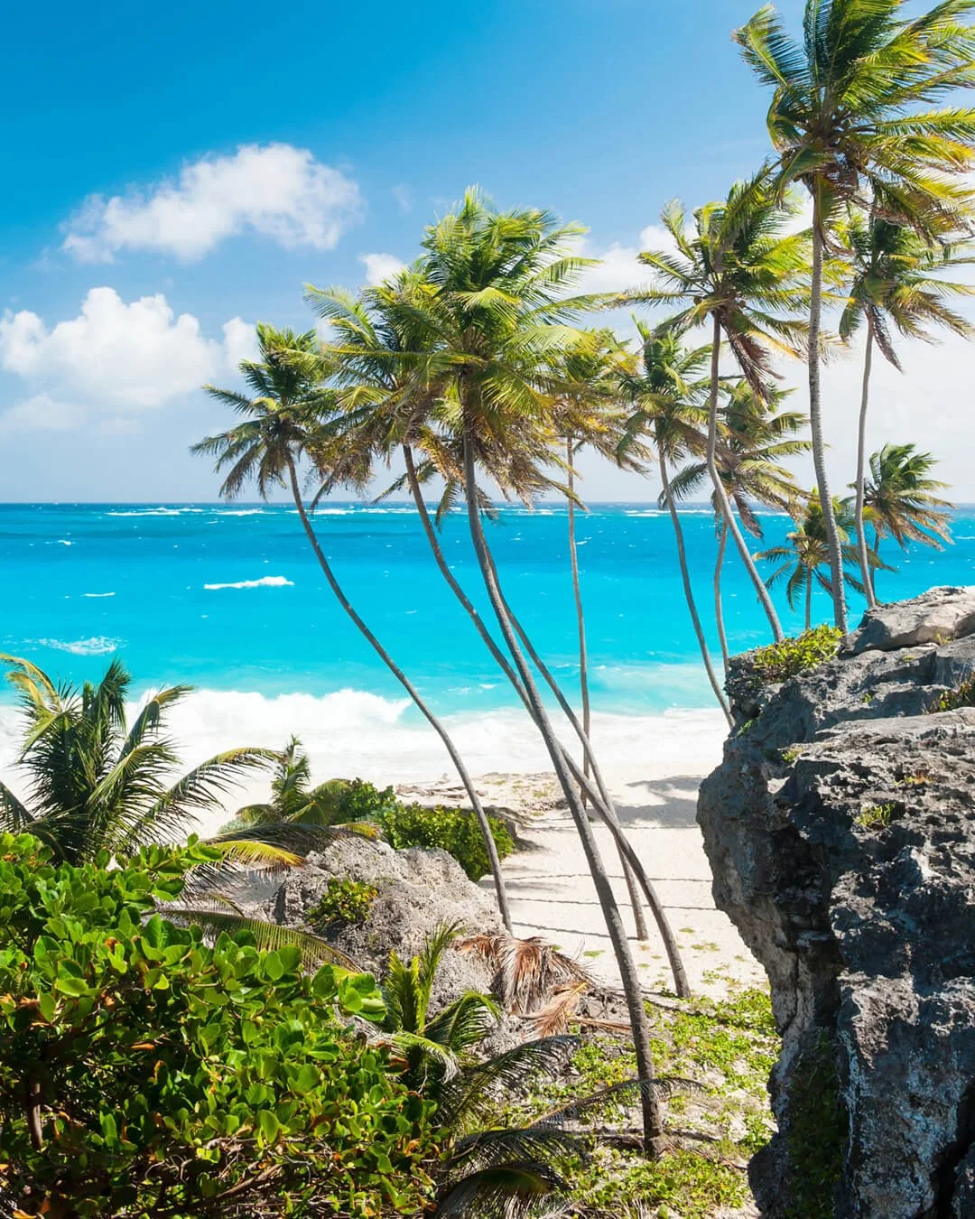 A Perfect Picnic Paradise: Bottom Bay, Barbados — Seastar House Barbados